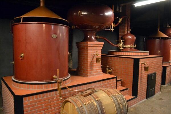 How Is Cognac Produced? - Cognac.com